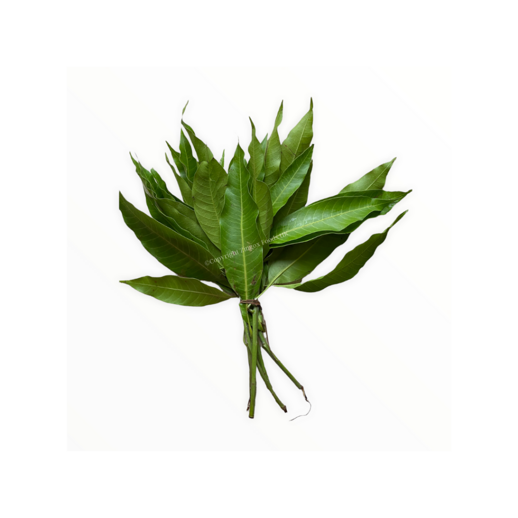 Mango Leaves 1 Bunch - Red Rickshaw