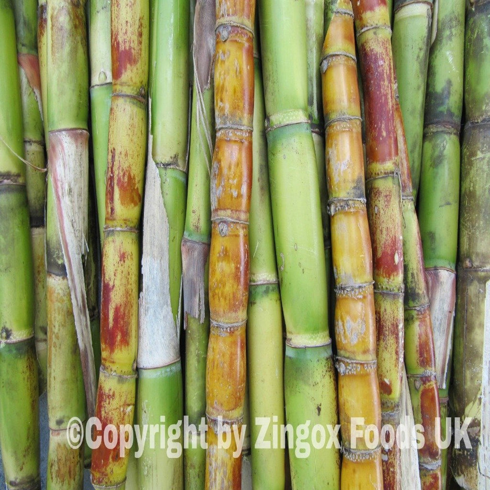 Sugar Cane - 1 ft - Red Rickshaw
